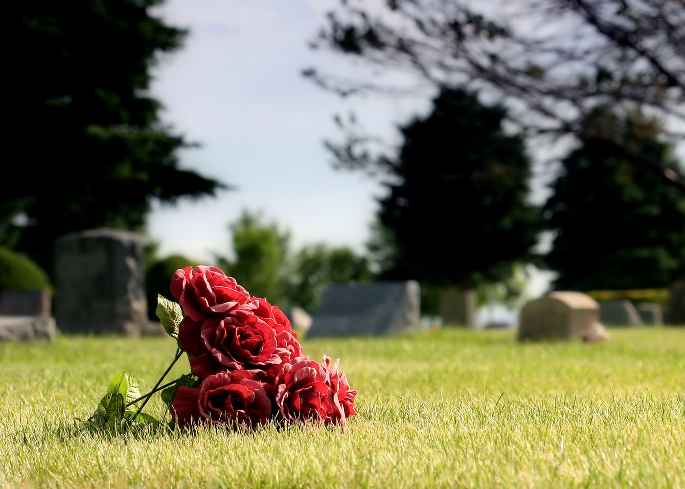 War: When It Seems like Death Is the Only Winner | ODB UK Military